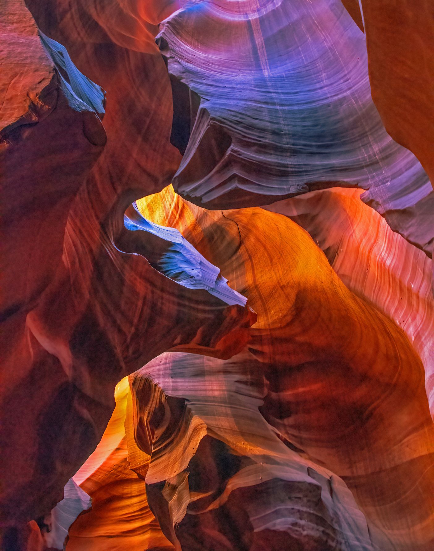 Divinity School unveils nature photography Creation Wall - La Sierra News