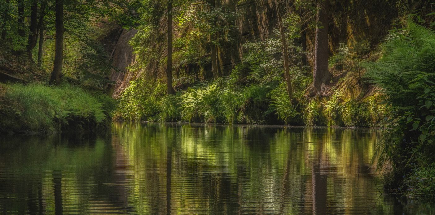 Divinity School unveils nature photography Creation Wall - La Sierra News