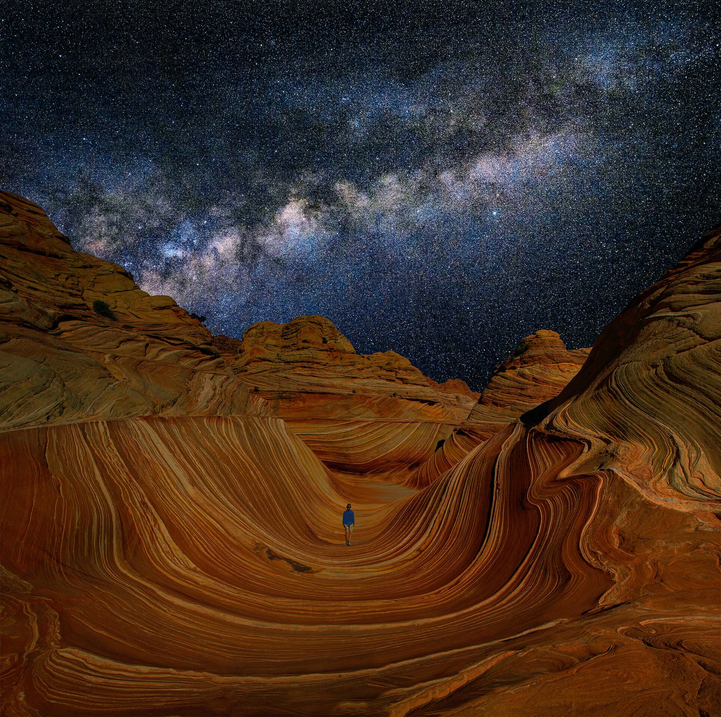 Divinity School unveils nature photography Creation Wall - La Sierra News